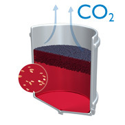 Vinification du vin rouge - Les vins Corsin