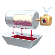 Vinification du vin rouge - Les vins Corsin