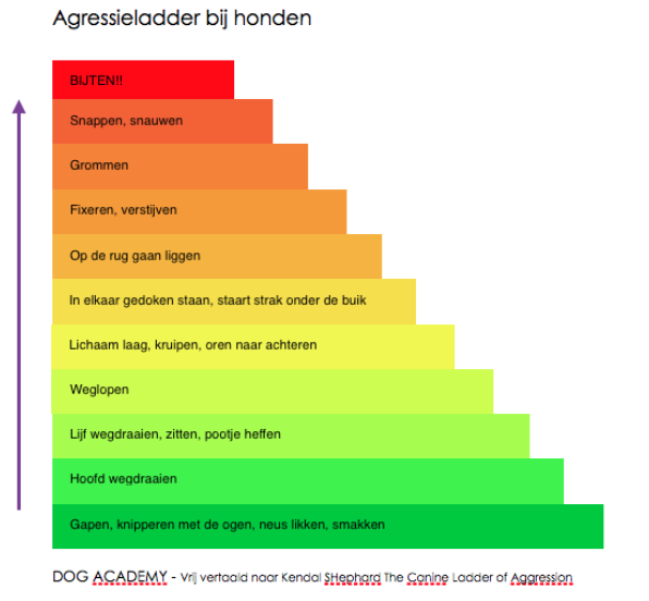 De hond die gromt - Dog Academy, voor gedragsproblemen bij honden!