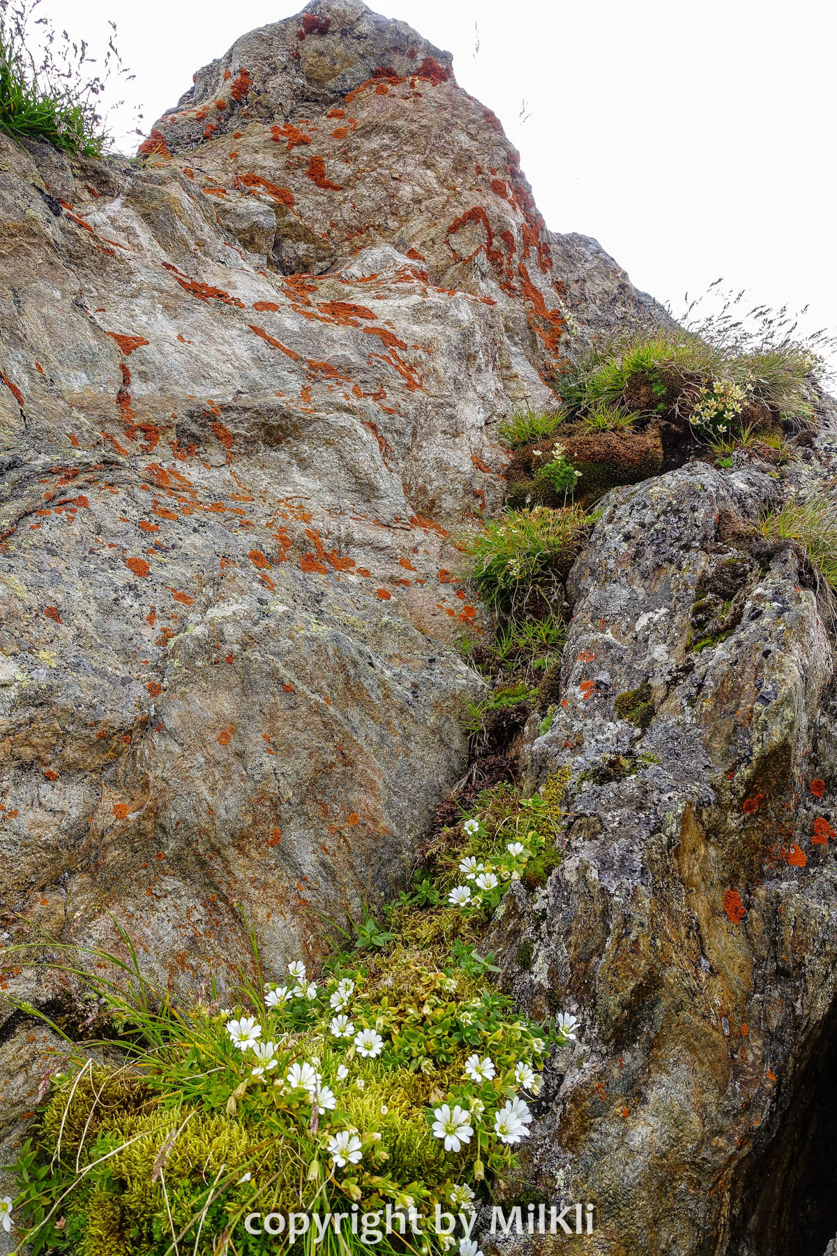 Mairspitze 2781m - Stubaier Alpen - lustaufbergs Webseite!