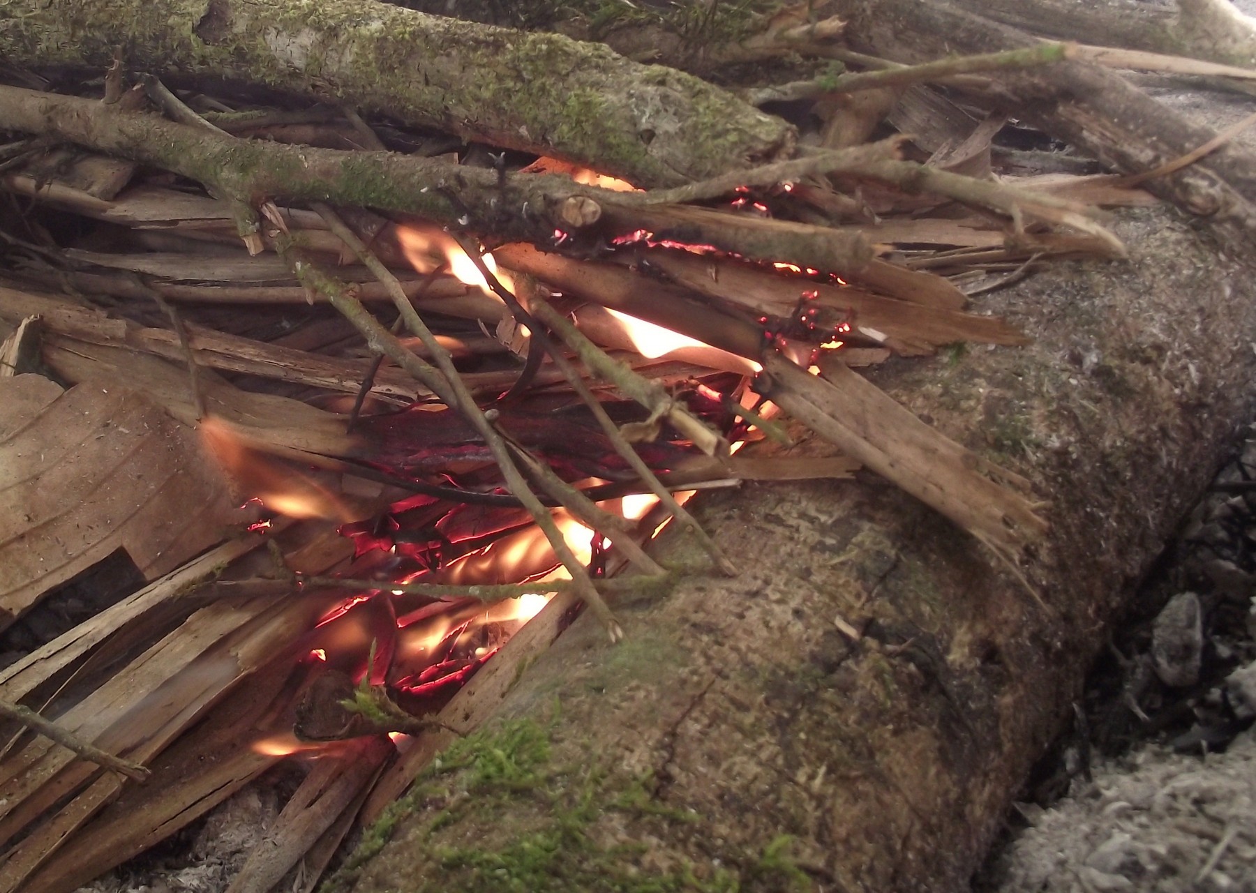 Camping for beginners: how to build a cooking fire. - Feathery Travels