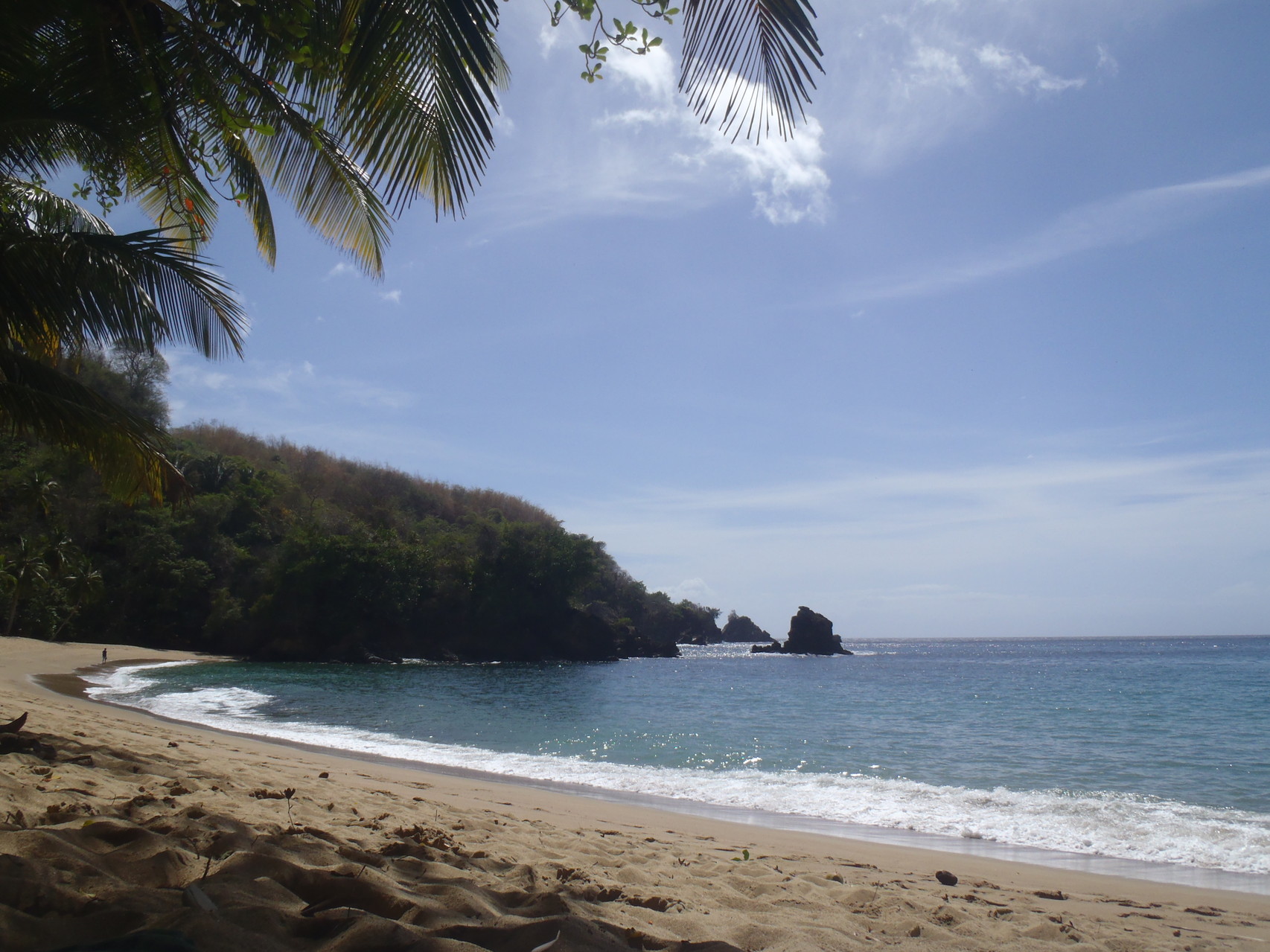 Castara, Tobago- "Just a Small Part of Paradise" - Feathery Travels