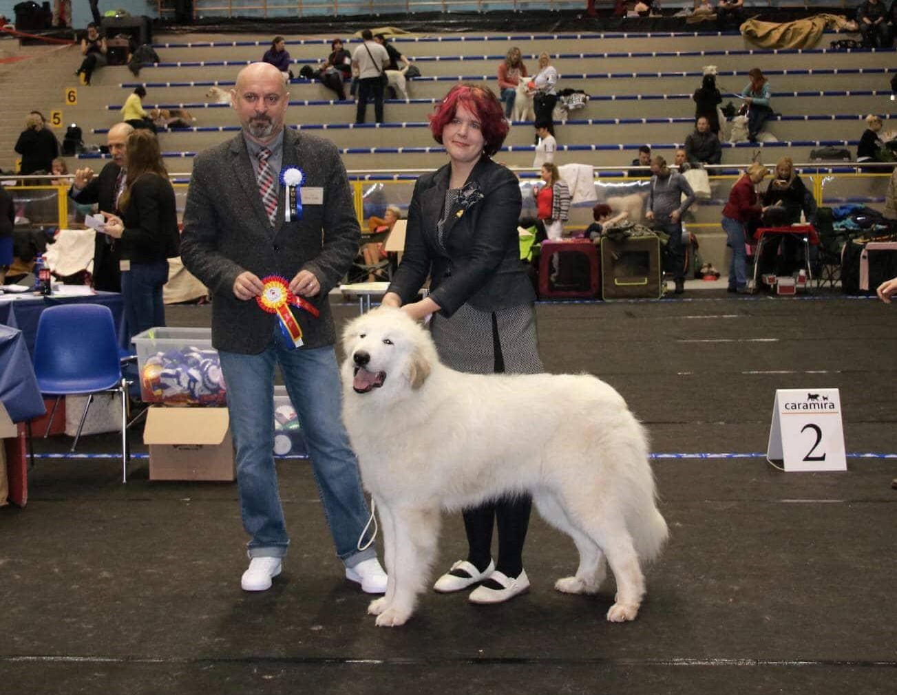 MALINE DE LA BELLETIERE - Echo de'Chien Pyrenean Mountain Dogs