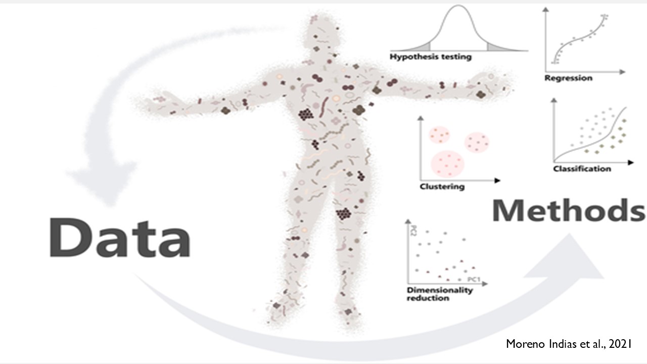 Orchestrating Microbiome Analysis with Bioconductor - physalia-courses
