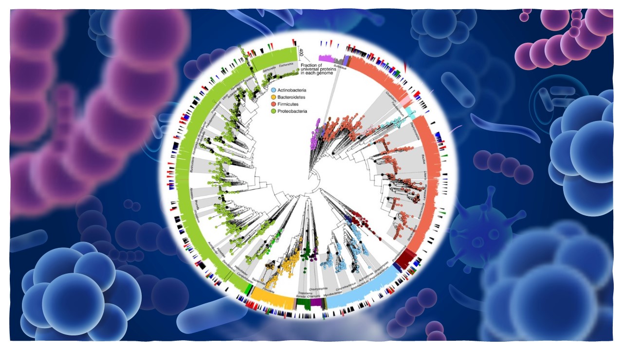 Shotgun metagenomics processing and analysis - physalia-courses