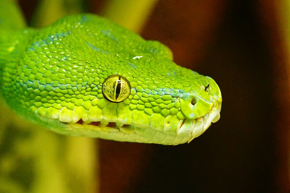 Advanced Python for Life Sciences - physalia-courses Advanced Python for Life Sciences - physalia-courses