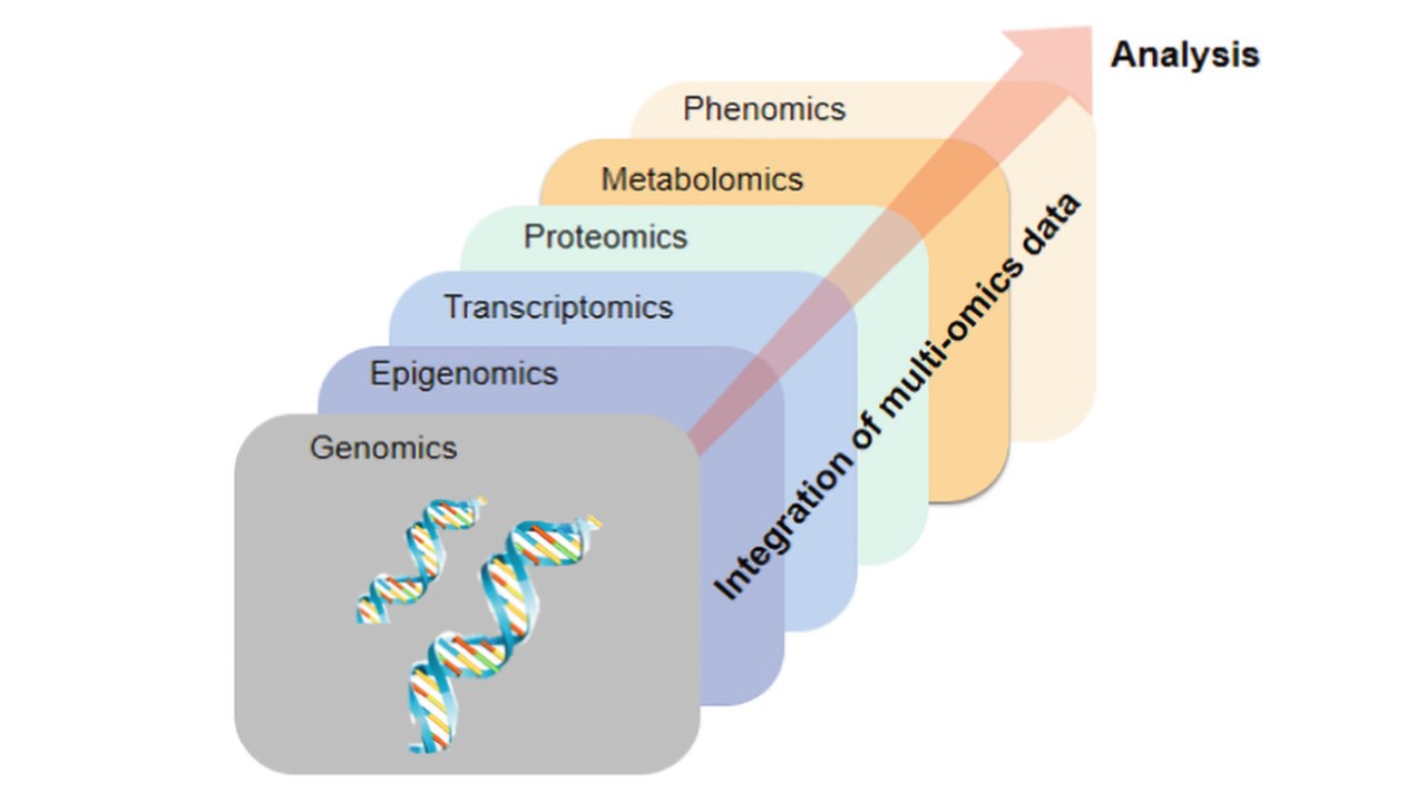 Machine Learning for Multi-Omics Integration - physalia-courses
