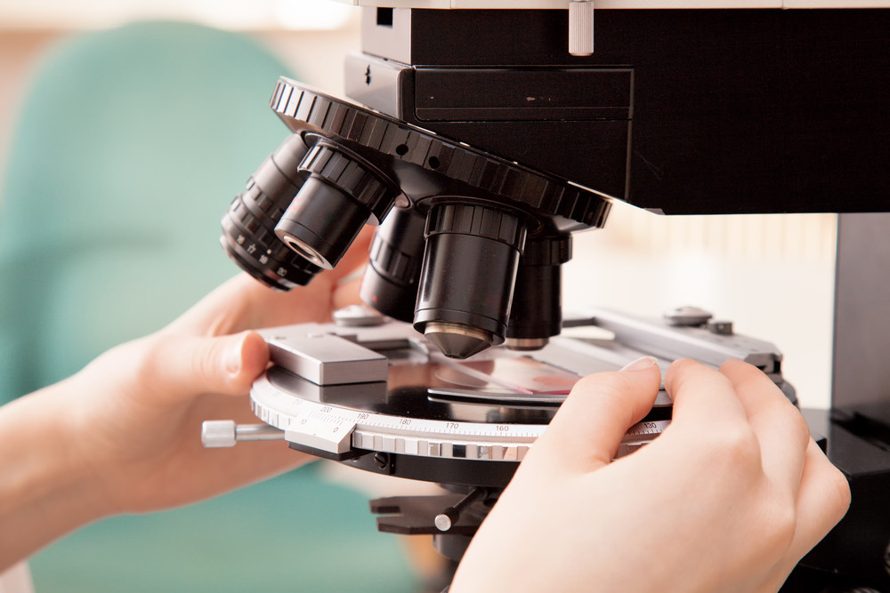 laboratório - Labcardeman