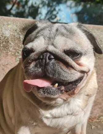 Original- Zeichnung - katis-art-galeries Webseite!