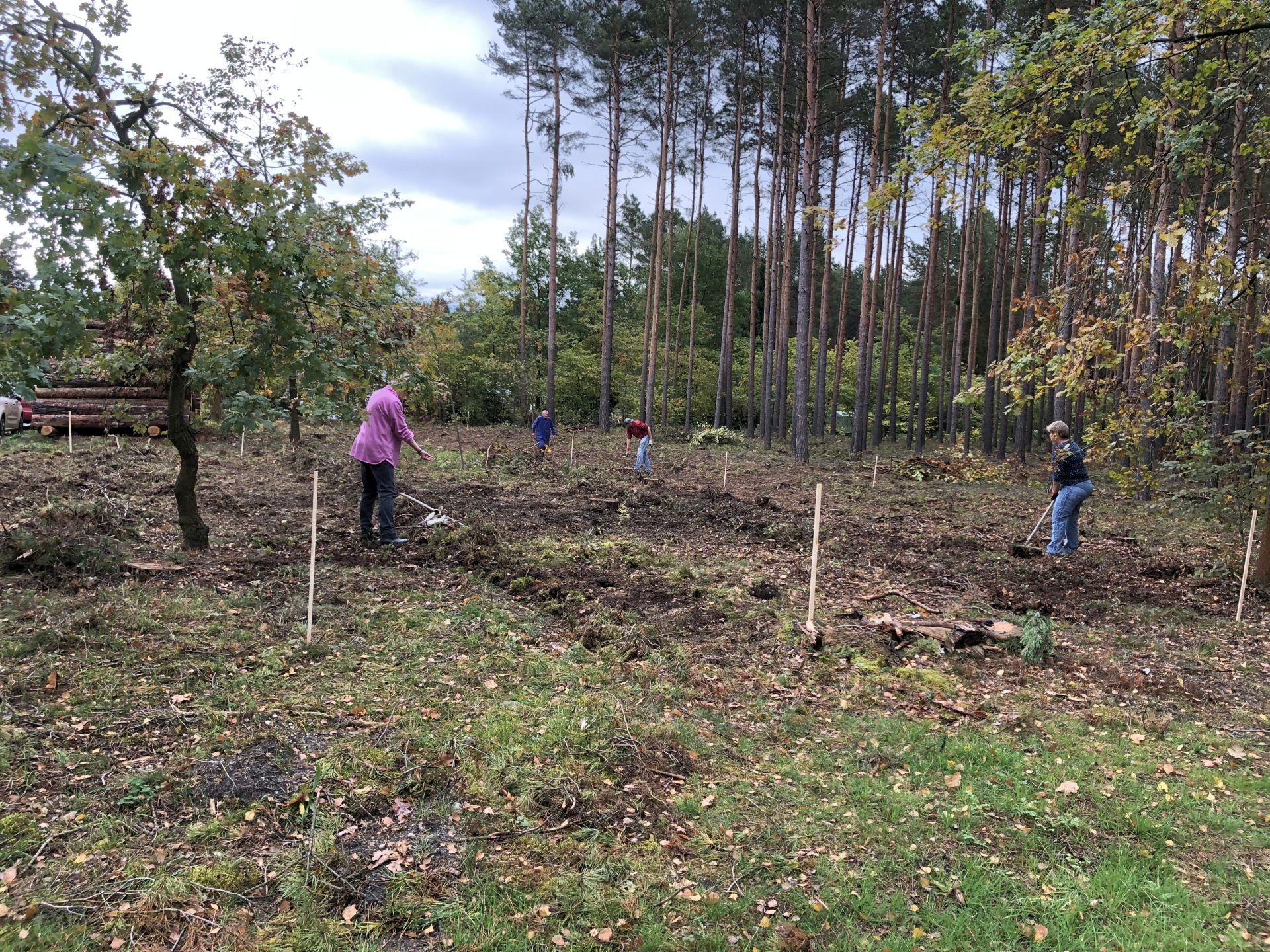 Waldrand- gestaltung - NABU Ortsgruppe Lauta