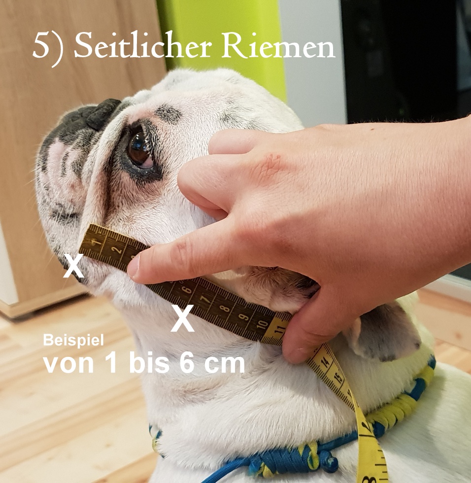 Richtig Messen - 100 % handgemachtes Hundezubehör aus Biothane und Paracord