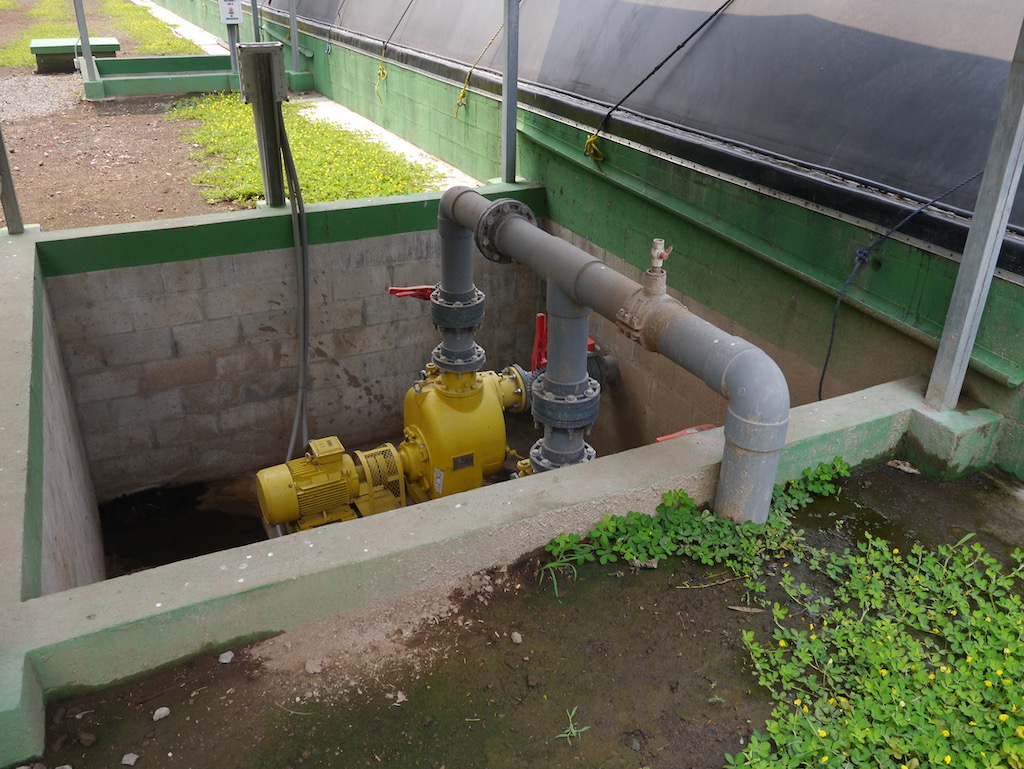 Animal manure - Covered lagoon digester - German technology