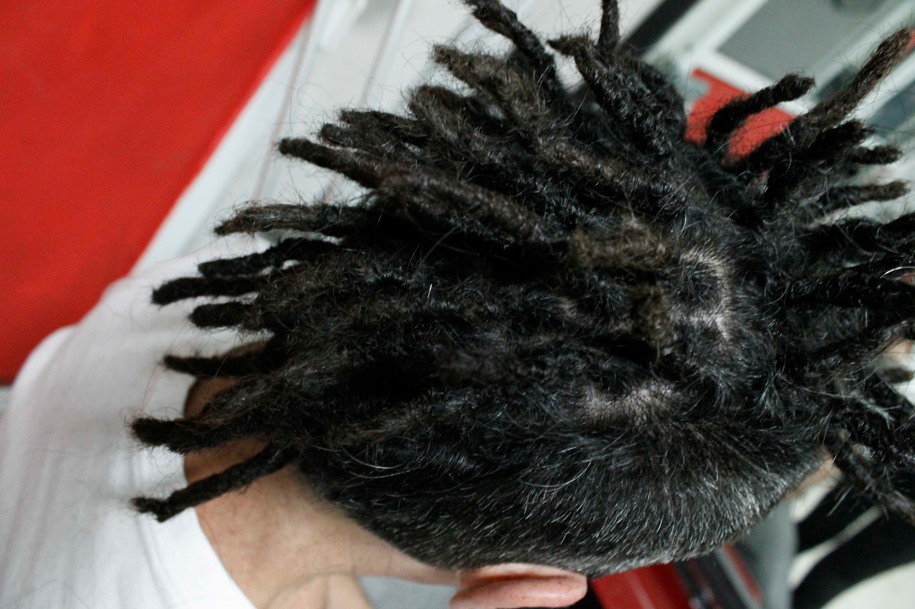 En medusa te ofrecemos distintas modalidades para las dreadlock ...