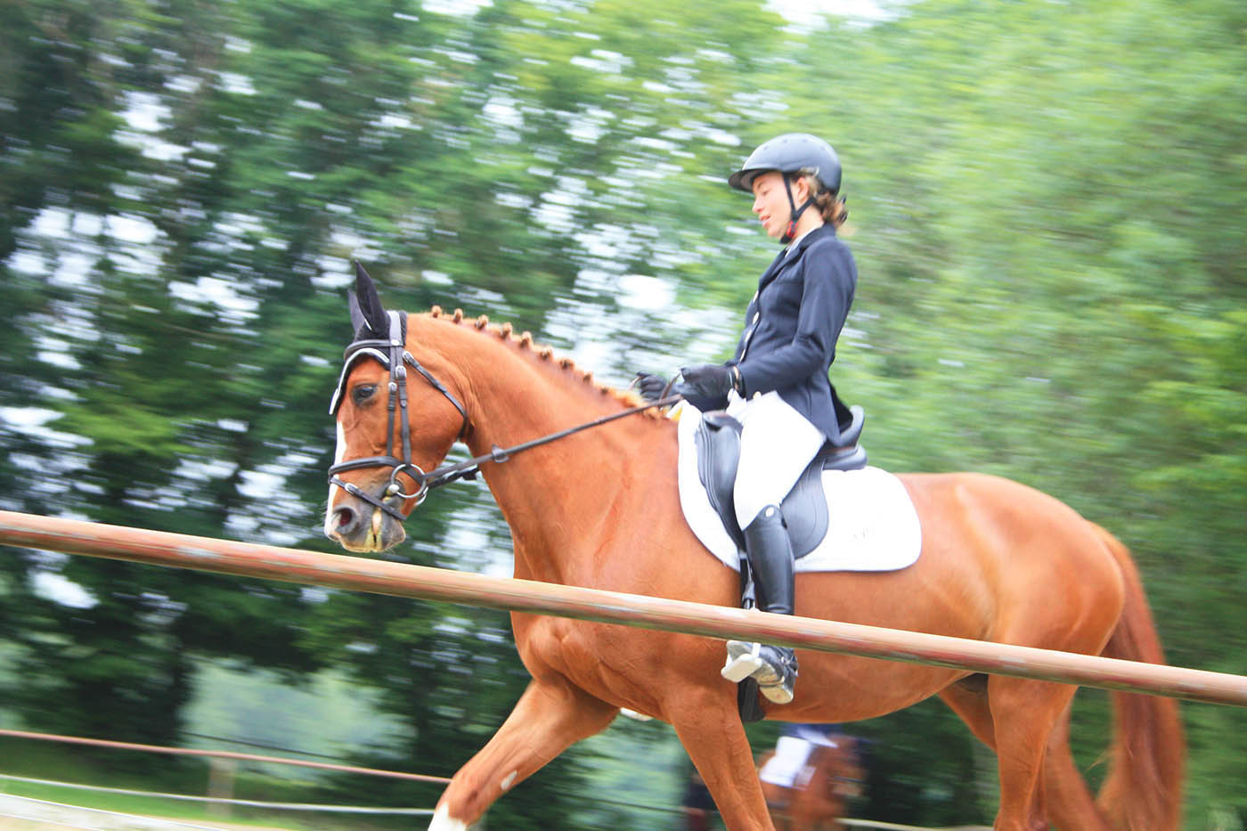 CCE club et amateurs aux Grilles - Les Rouillons centre équestre dans l ...