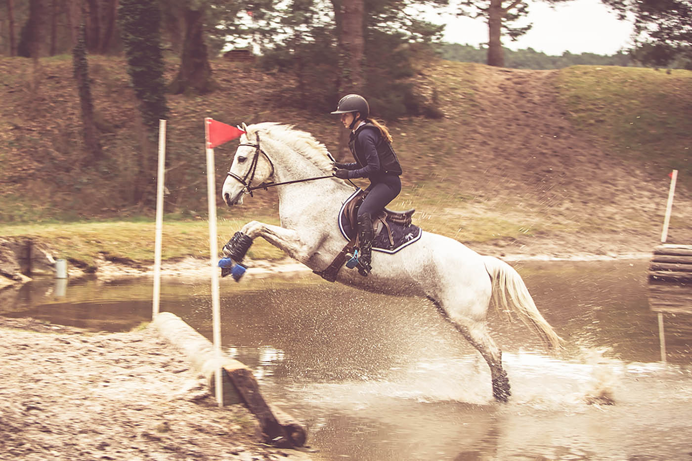 Entraînement cross et saut d'obstacles à Fontainebleau - Les Rouillons ...