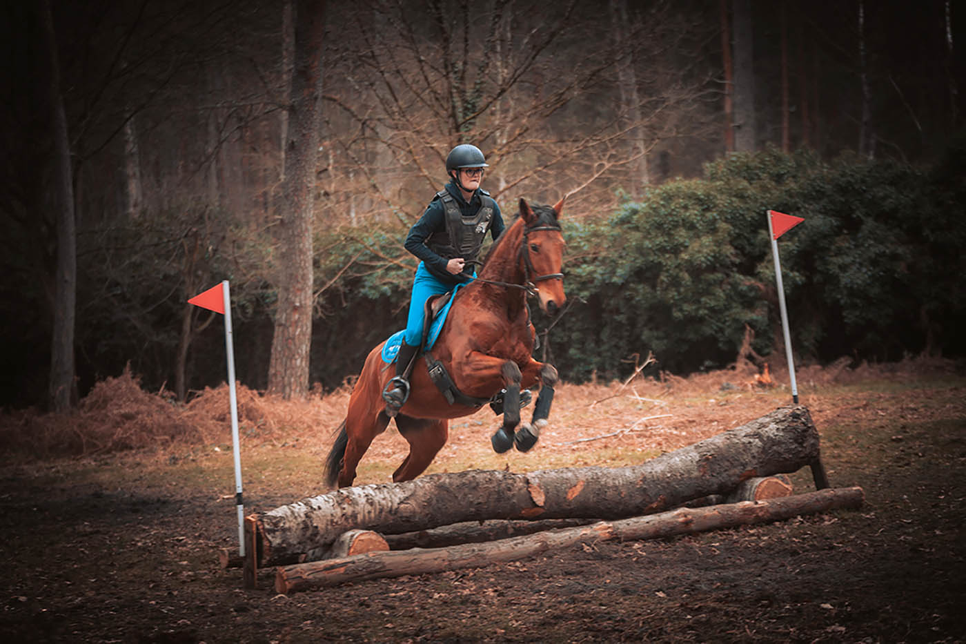 Entraînement cross et saut d'obstacles à Fontainebleau - Les Rouillons ...