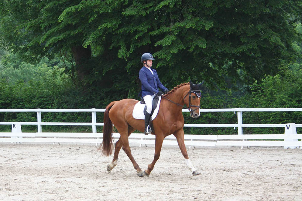 CCE club et amateurs aux Grilles - Les Rouillons centre équestre dans l ...