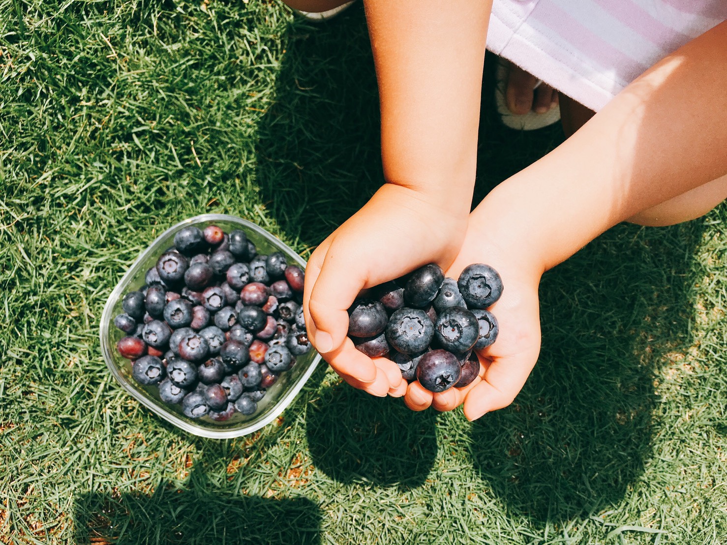 Blueberry Princess - blueberrry ページ！