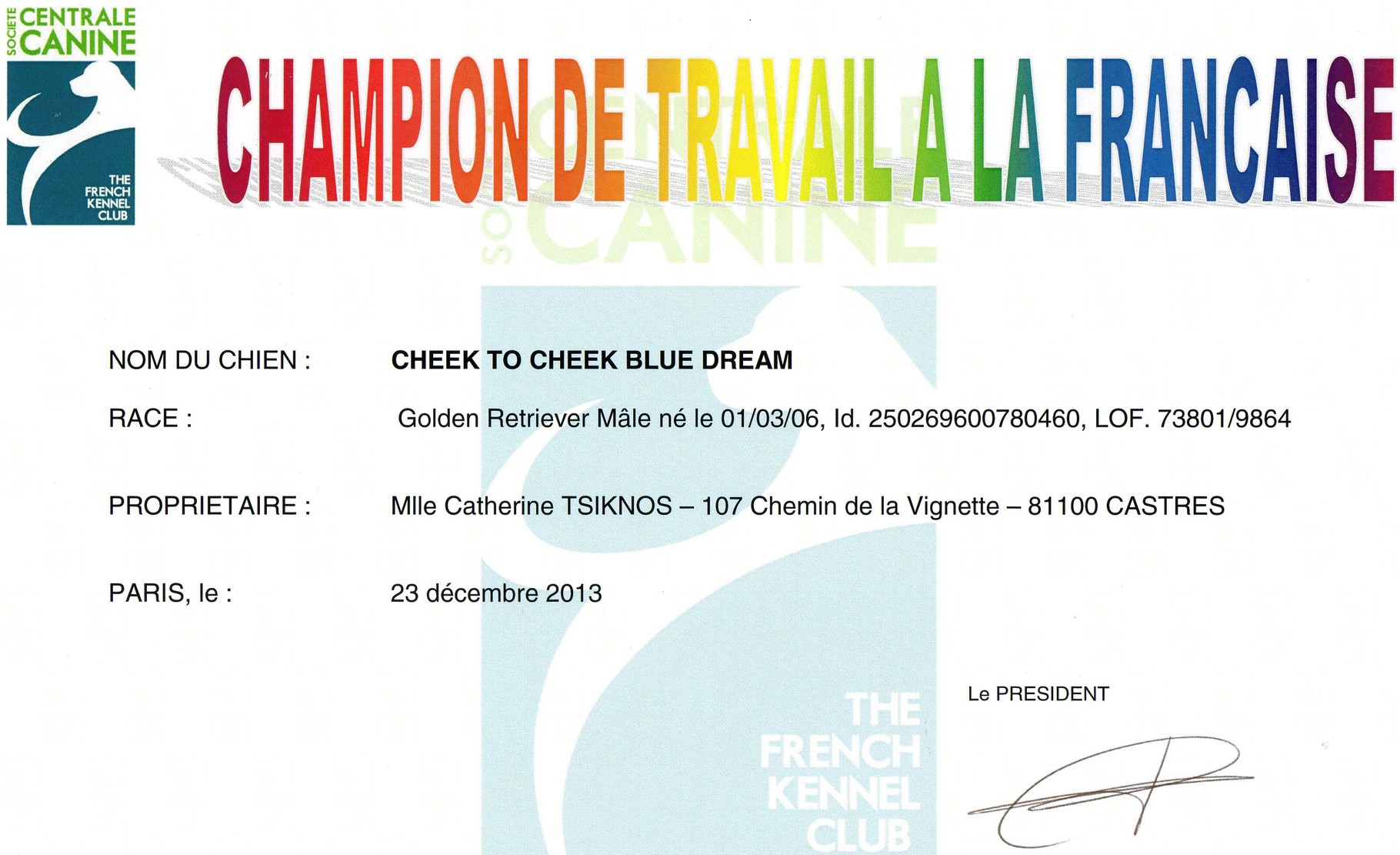 Field Trials - Golden Retrievers de la Forêt de Sivens