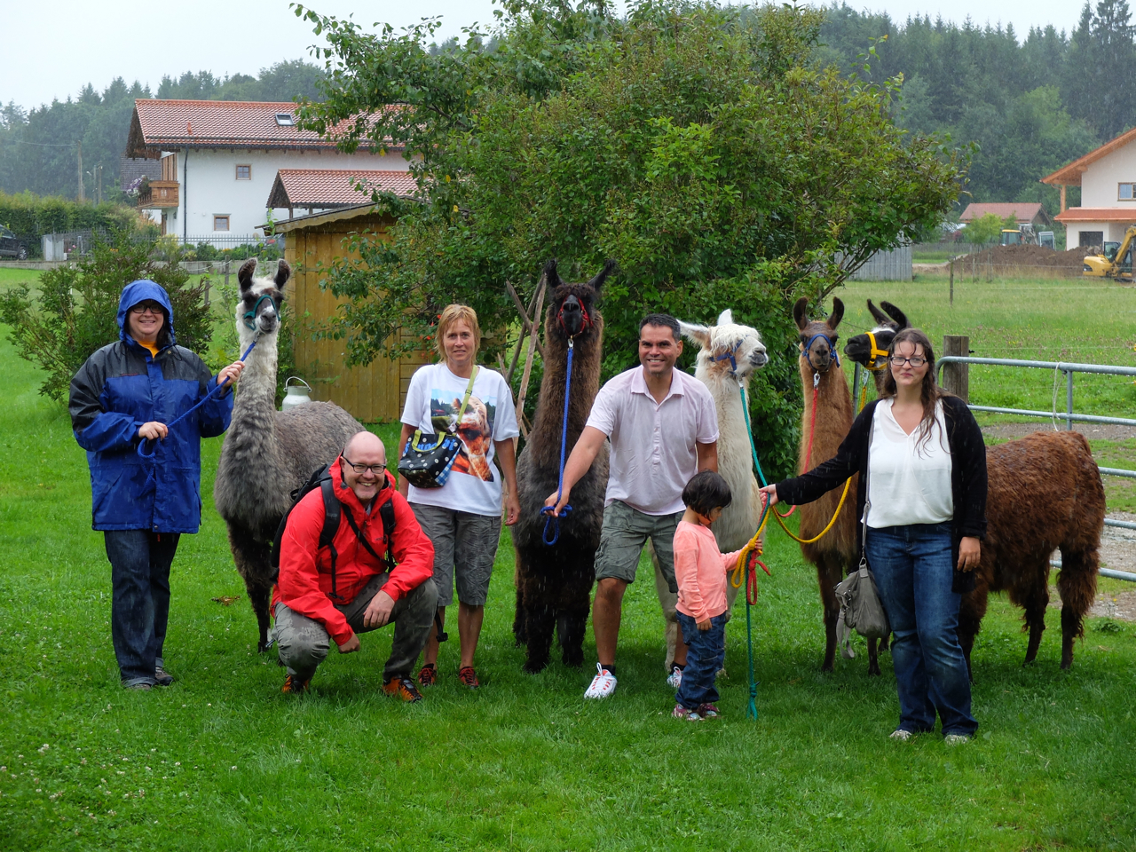 Angebote Lama-/Trekking/Spaziergänge - Lamaland Loher