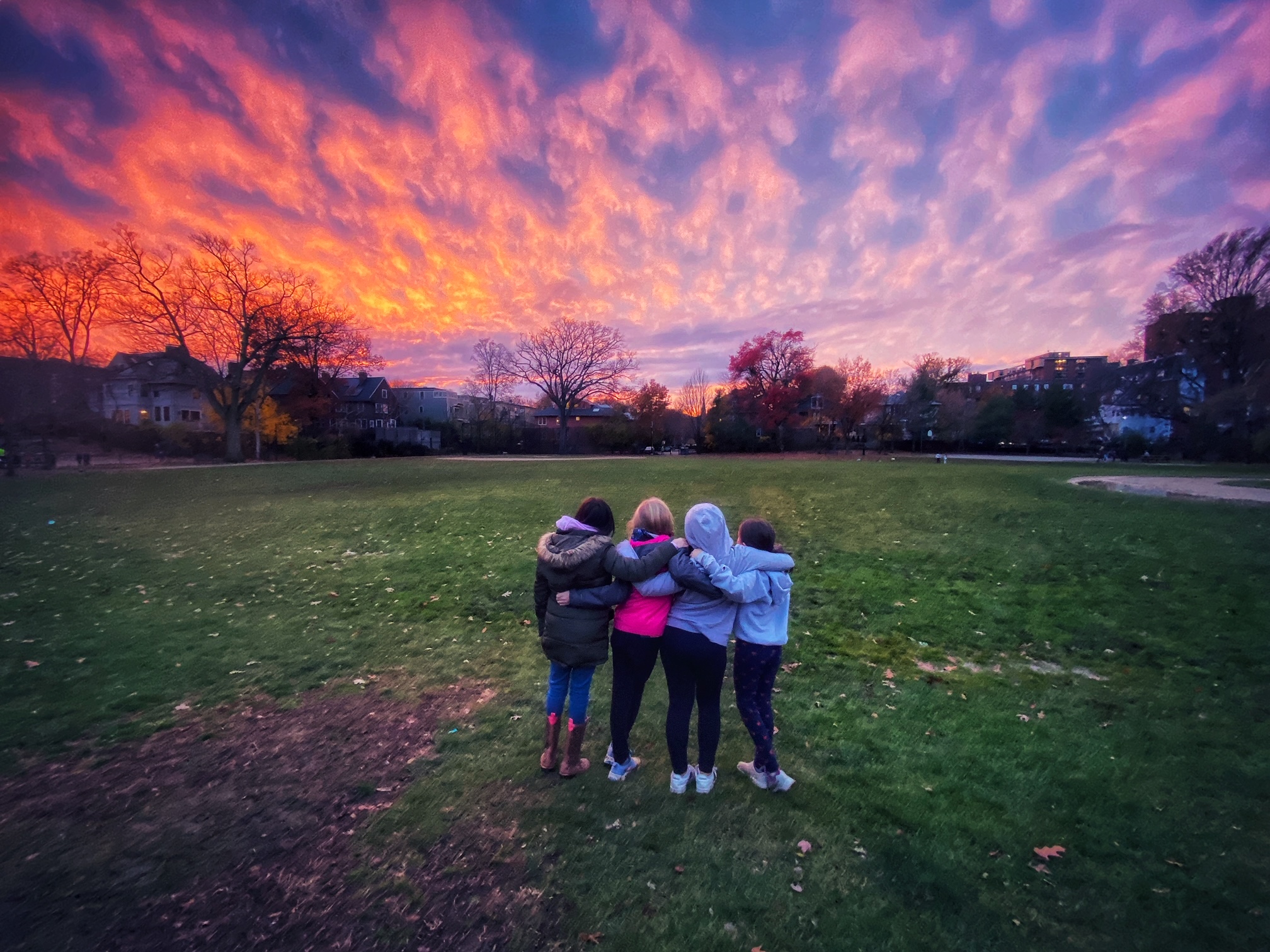 our-mission-and-vision-welcome-to-ledpbrookline-ledp