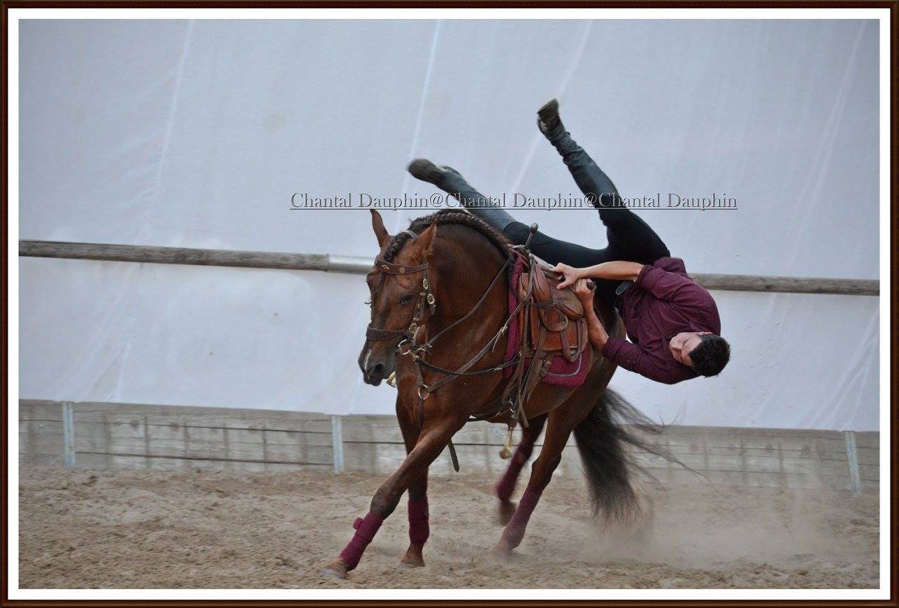 L'histoire de Caval'show... - Benoit Soumille Spectacle équestre poste hongroise