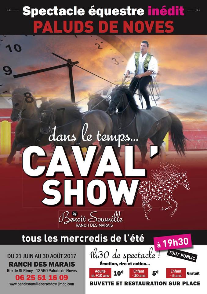 L'histoire de Caval'show... - Benoit Soumille Spectacle équestre poste hongroise