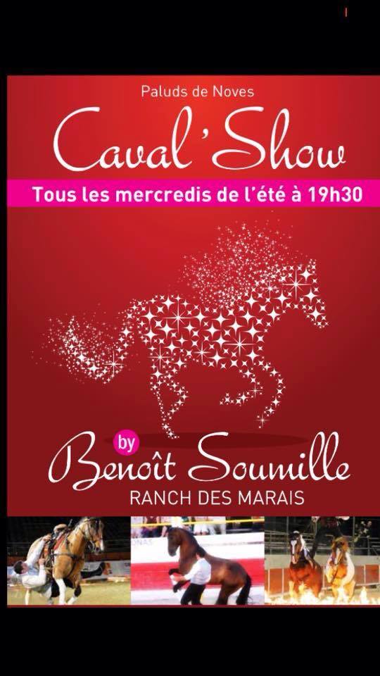 L'histoire de Caval'show... - Benoit Soumille Spectacle équestre poste hongroise