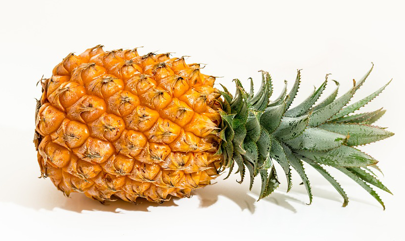 Organology & symbolic - Site de chapei