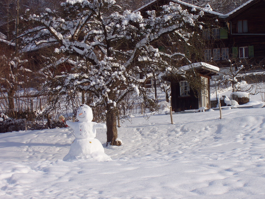 Ein Dorf mit hoher Wohnqualität - Gemeinde Gsteigwiler