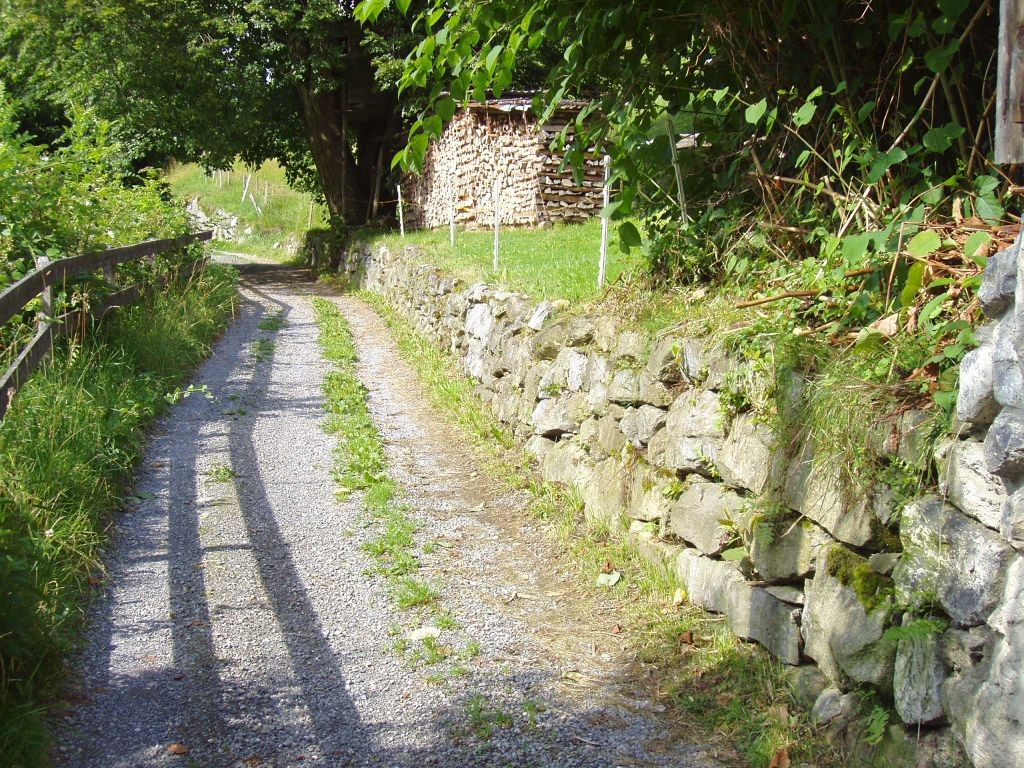 Ein Dorf mit hoher Wohnqualität - Gemeinde Gsteigwiler