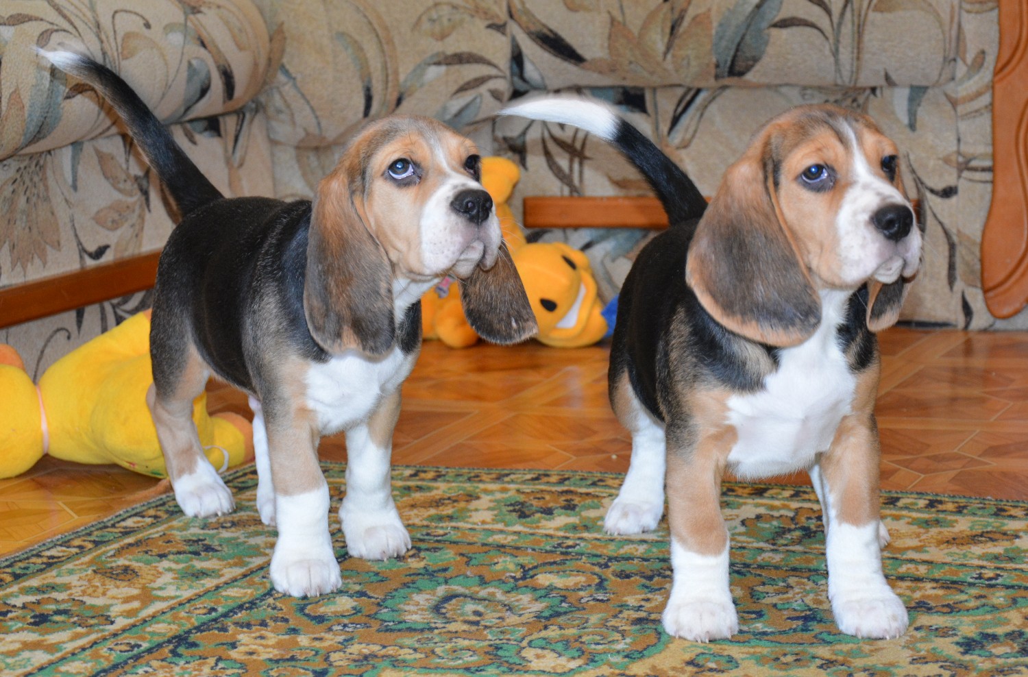 Heaven's Halberd Darling Joy - darlingjoy