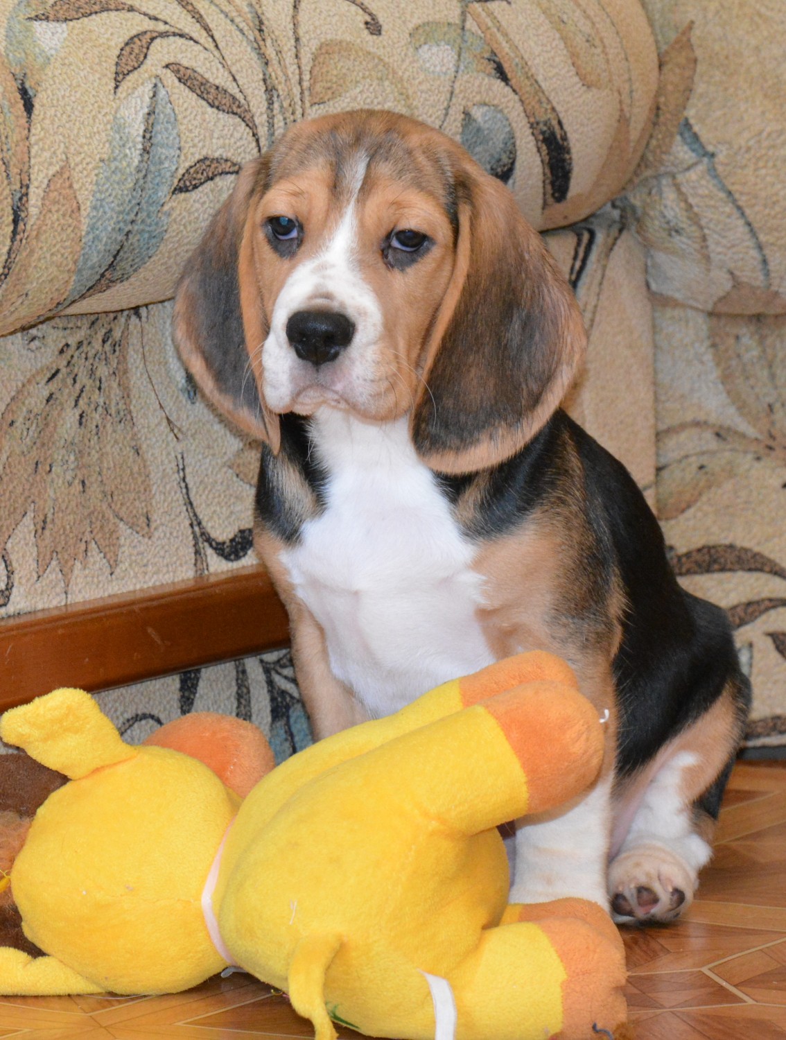 Heaven's Halberd Darling Joy - darlingjoy