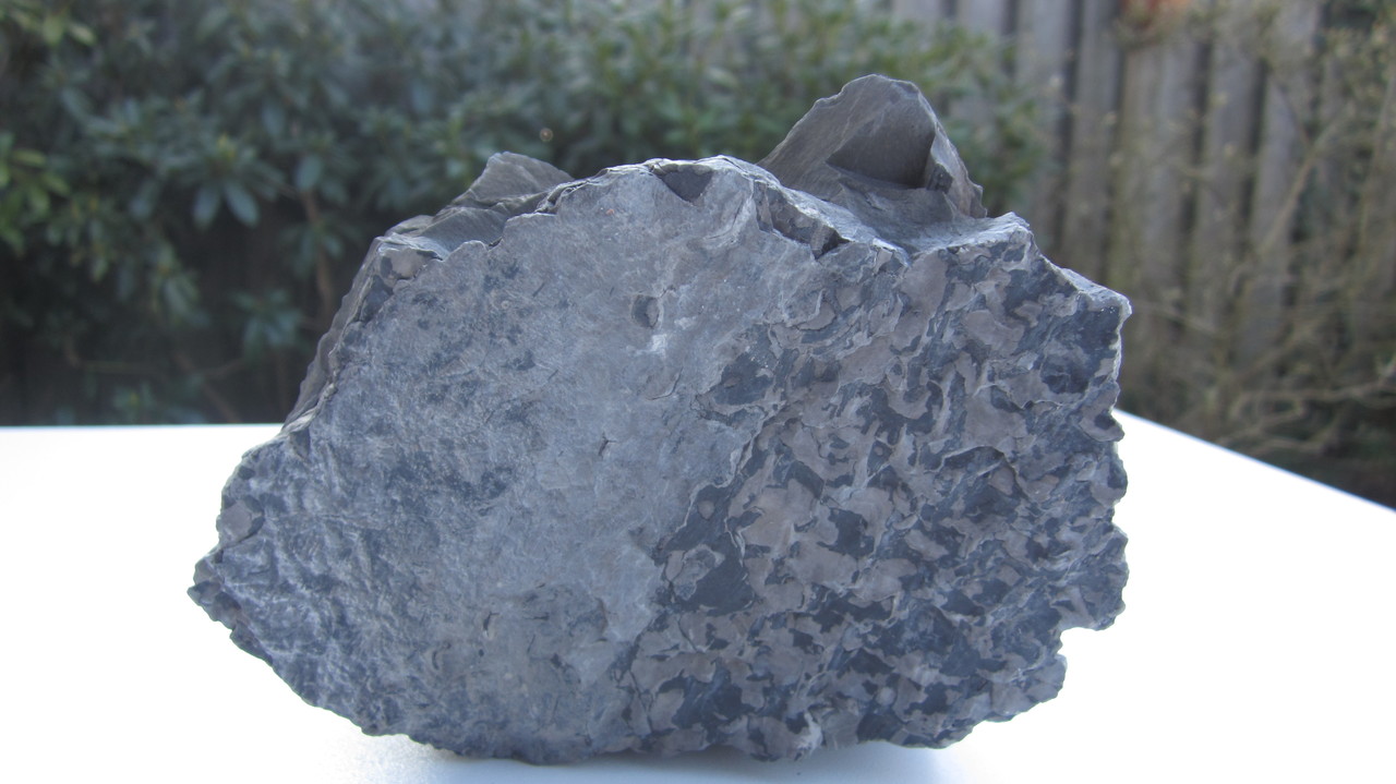 Carboon divers - Your Way mineralen edelstenen fossielen