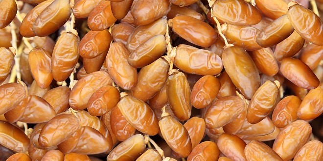 Incollable sur la datte ! - Voyage désert Maroc