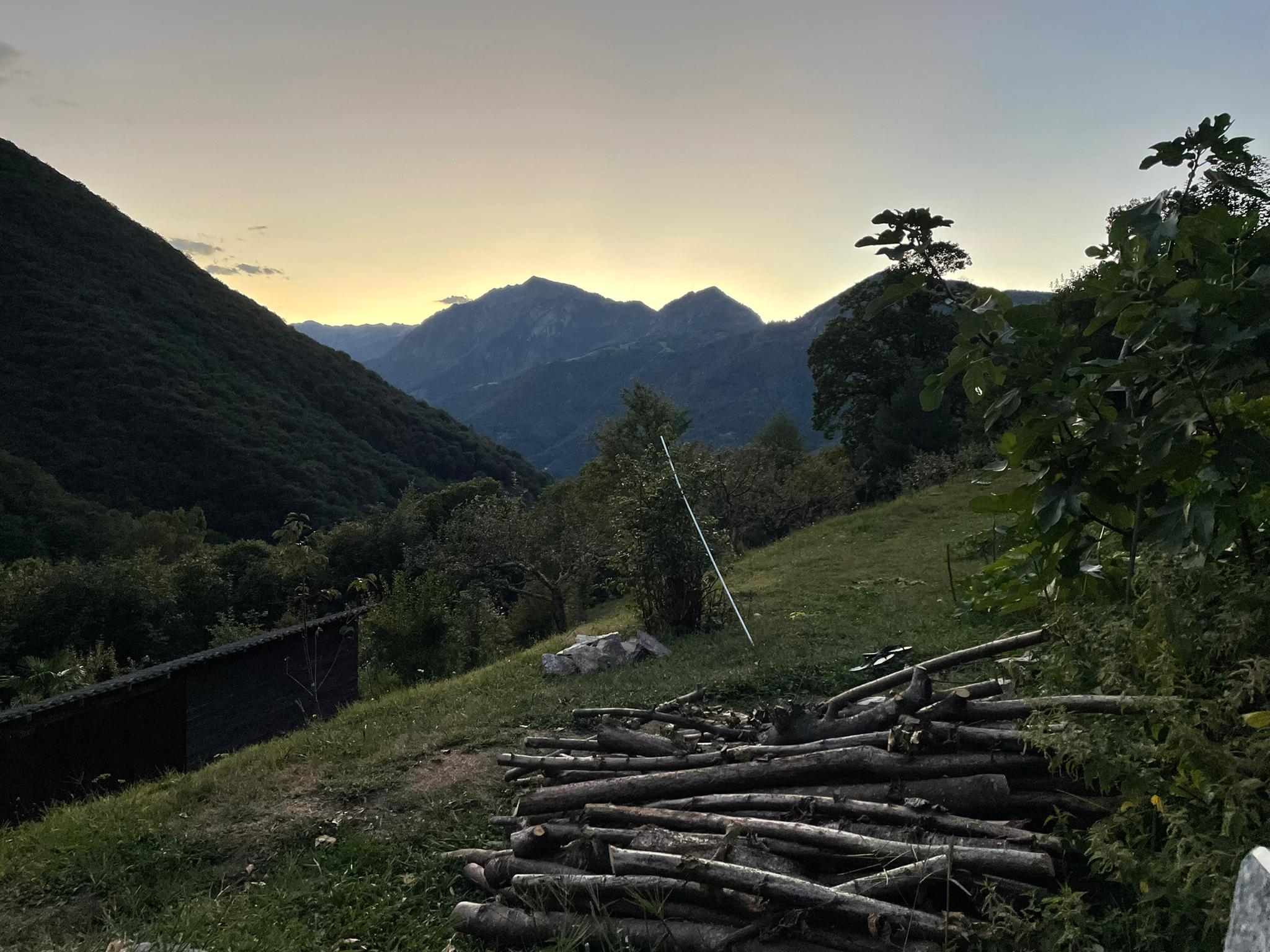 Galerie 17 -Neu aus dem Ashram - Ananda-Dham