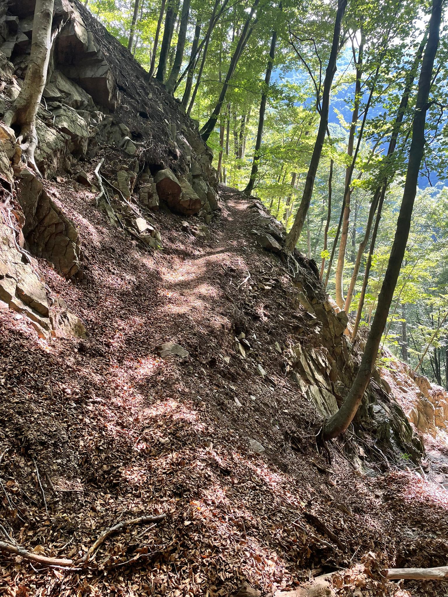 Galerie 17 -Neu aus dem Ashram - Ananda-Dham