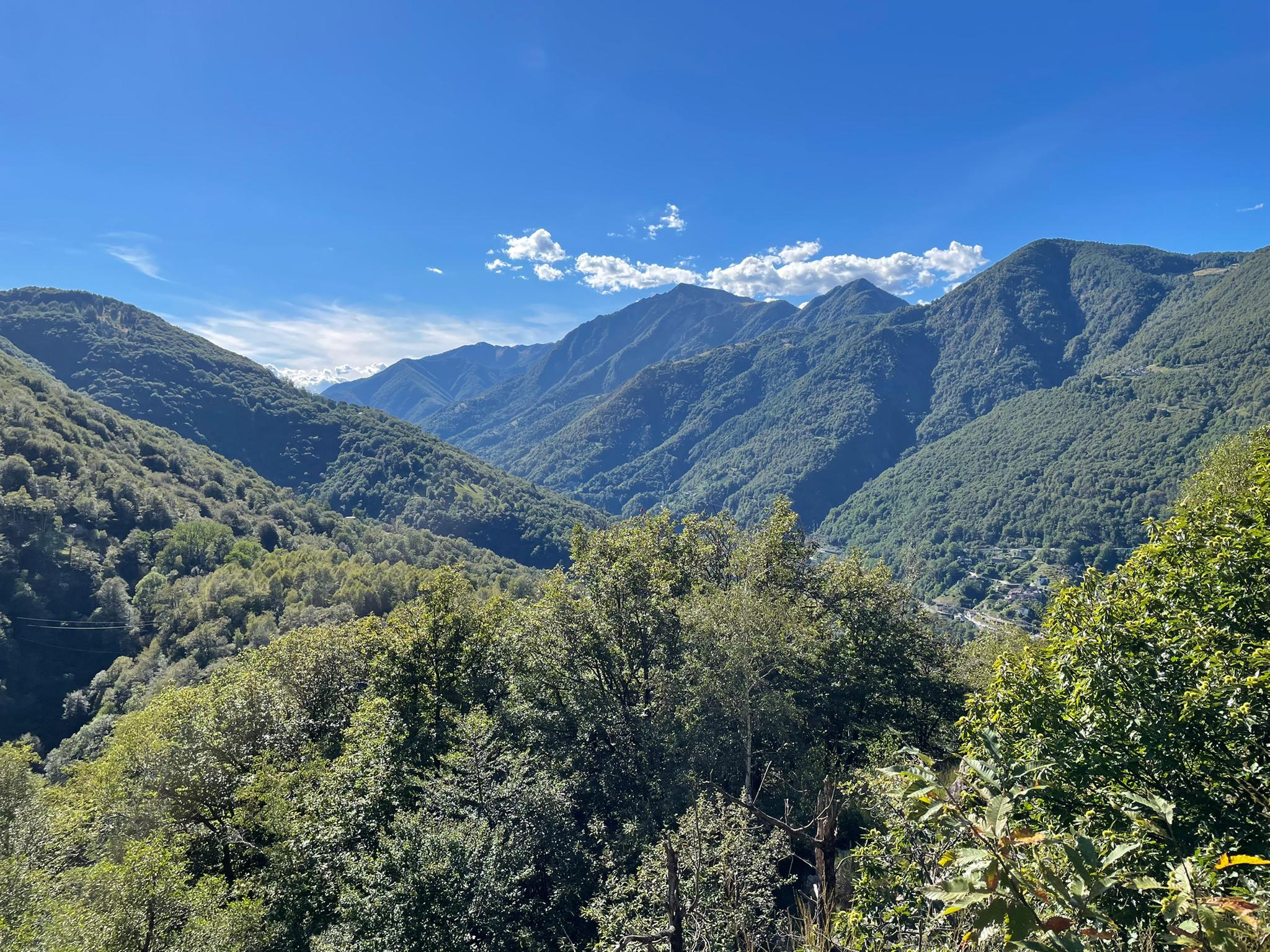 Galerie 17 -Neu aus dem Ashram - Ananda-Dham