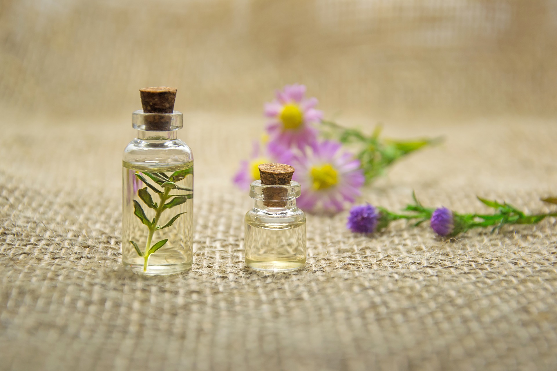 Online Shop - Diffuser - Ätherische Öle von doTERRA