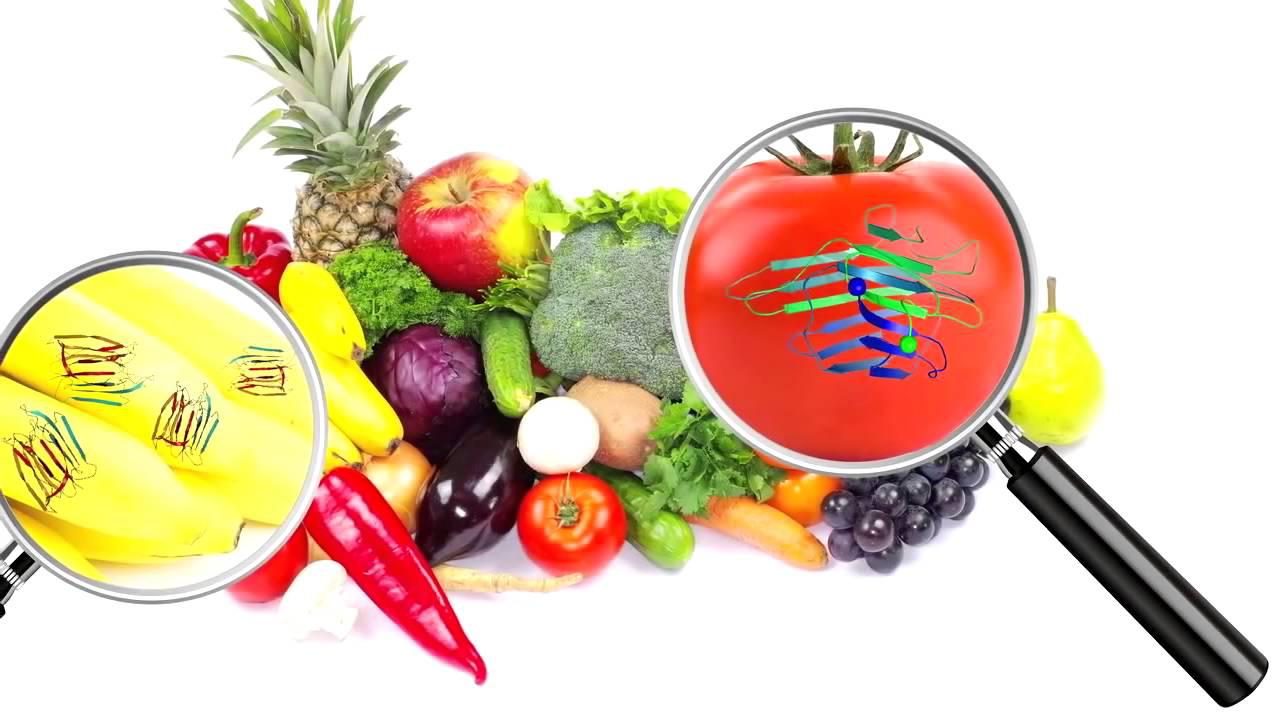 Lectine - Nutrizione Naturale