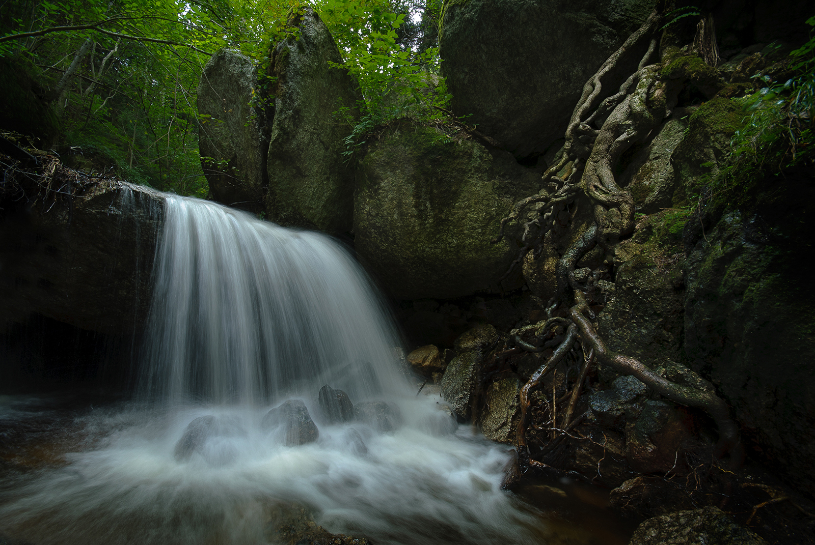 Home - Erlebniswelt Ysperklamm