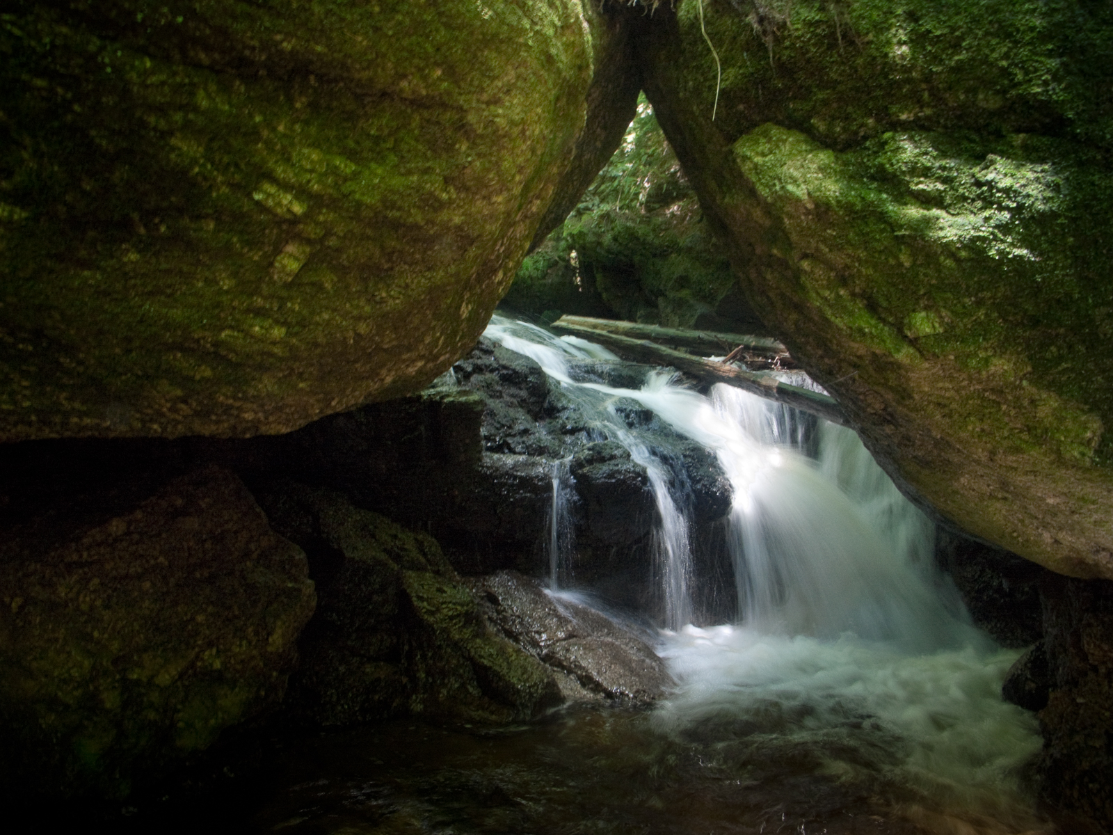 Naturerlebnis in der Klamm - Erlebniswelt Ysperklamm