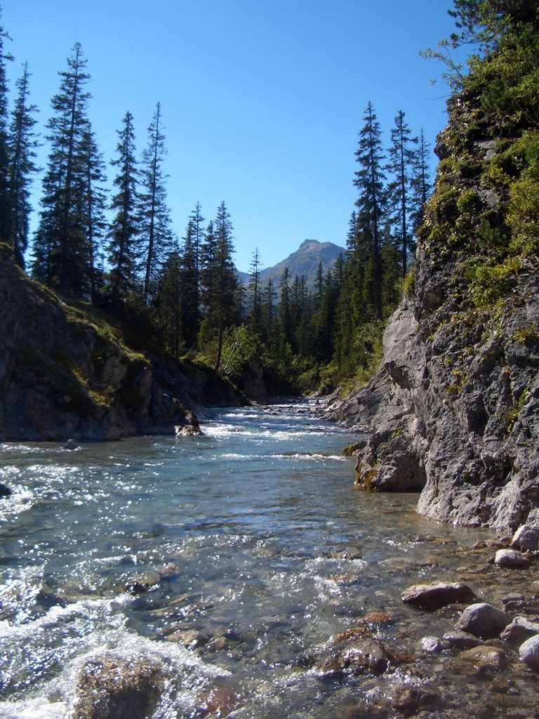 Lech River - Fischereiverein Lech