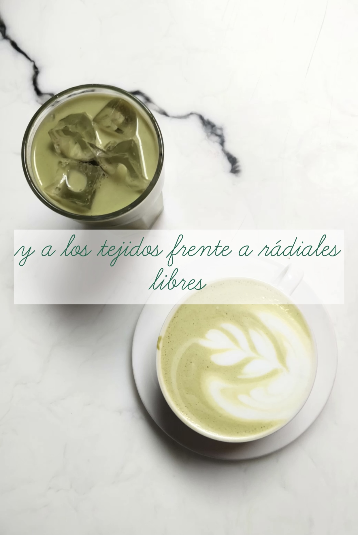 el mundo del té - Mrb La Casa del Té