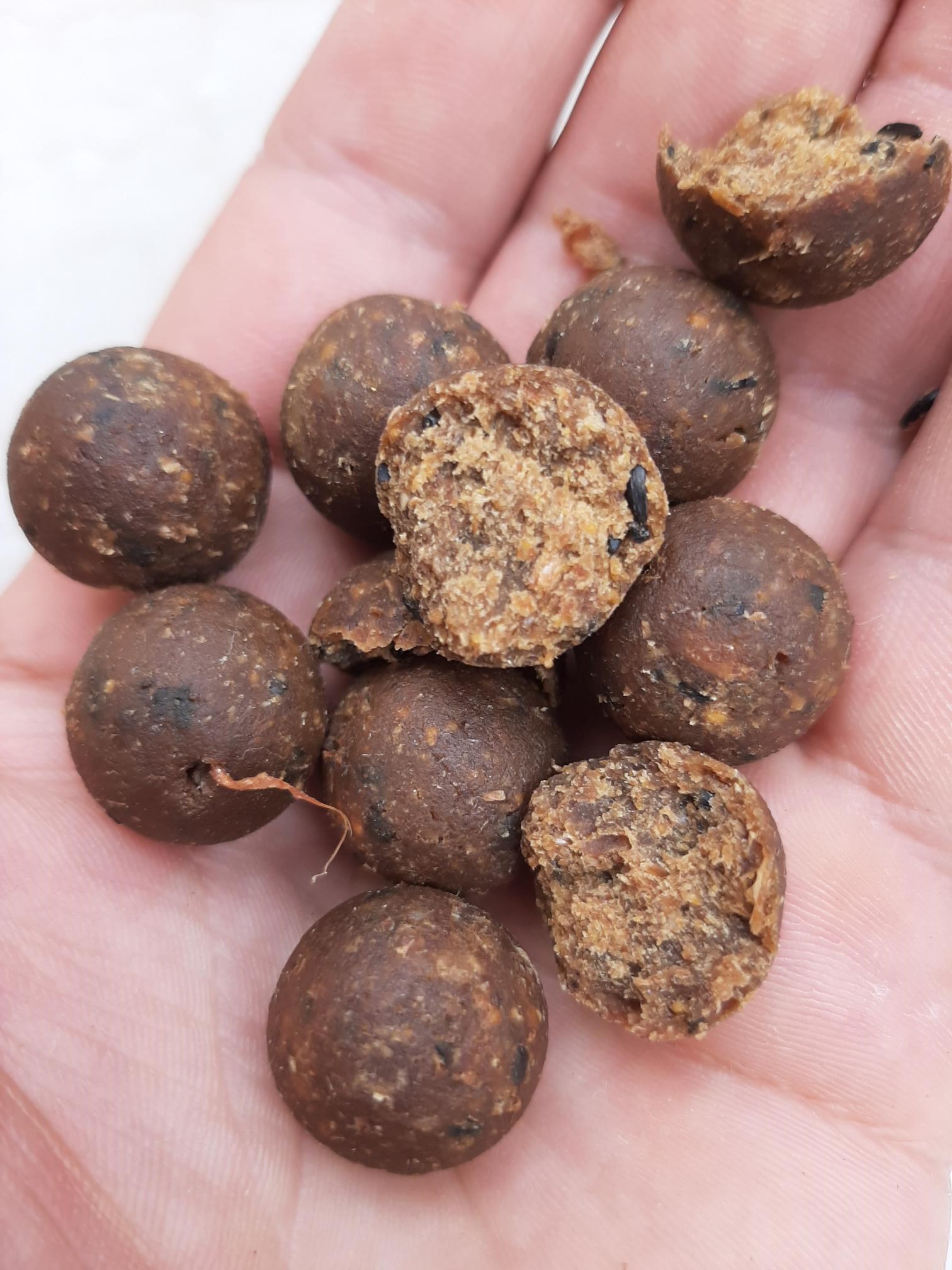 Fermented krill bait recipe - Benvenuti su thebaitguru!
