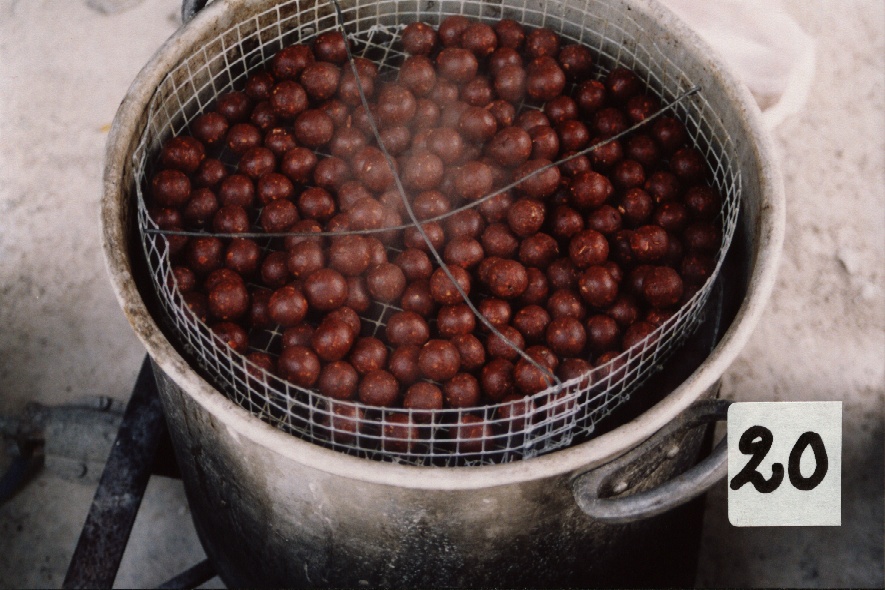 How to steam large quantities of boilies. - Benvenuti su thebaitguru!