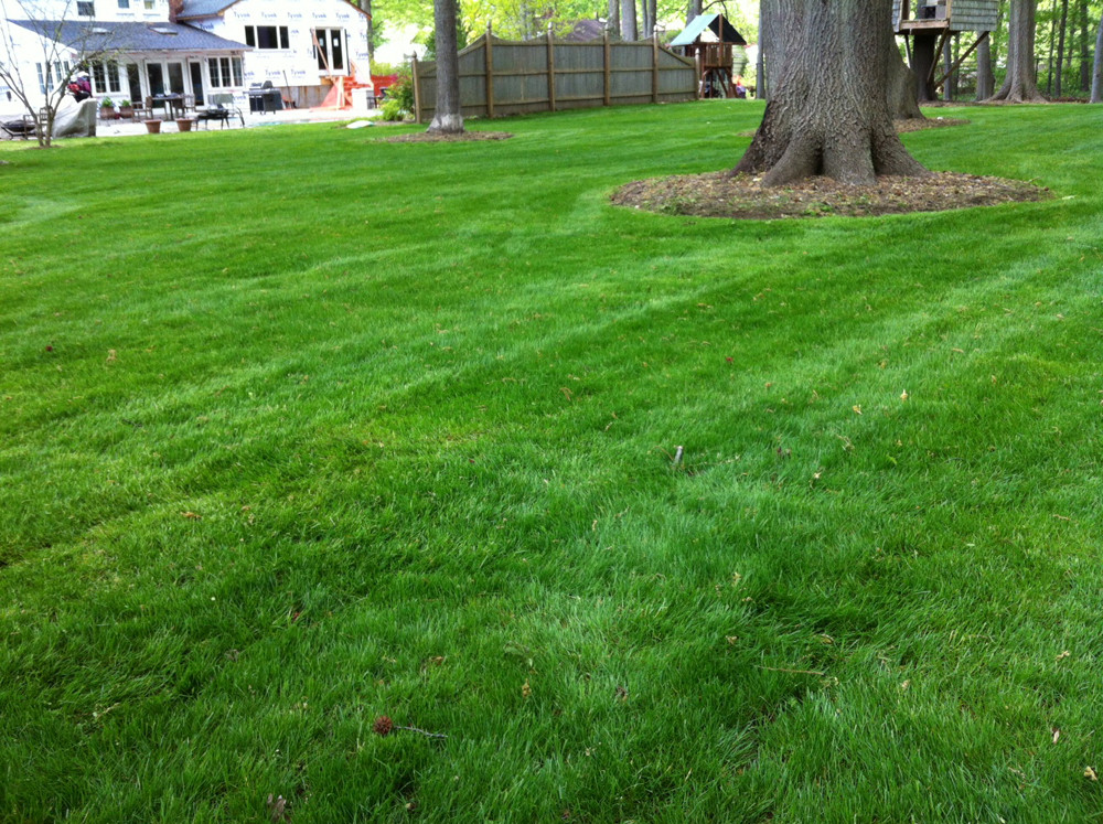 Photo Gallery - V & V Landscaping, LLC of Fanwood, NJ