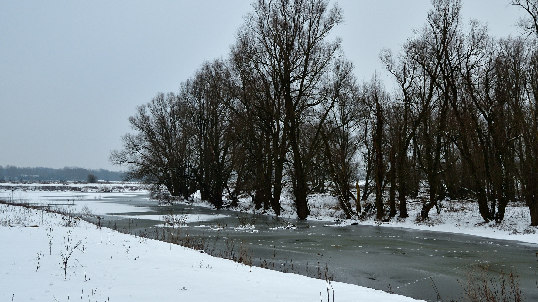 Beuningse Uiterwaarde Winter - Hans van Hees Fotografie