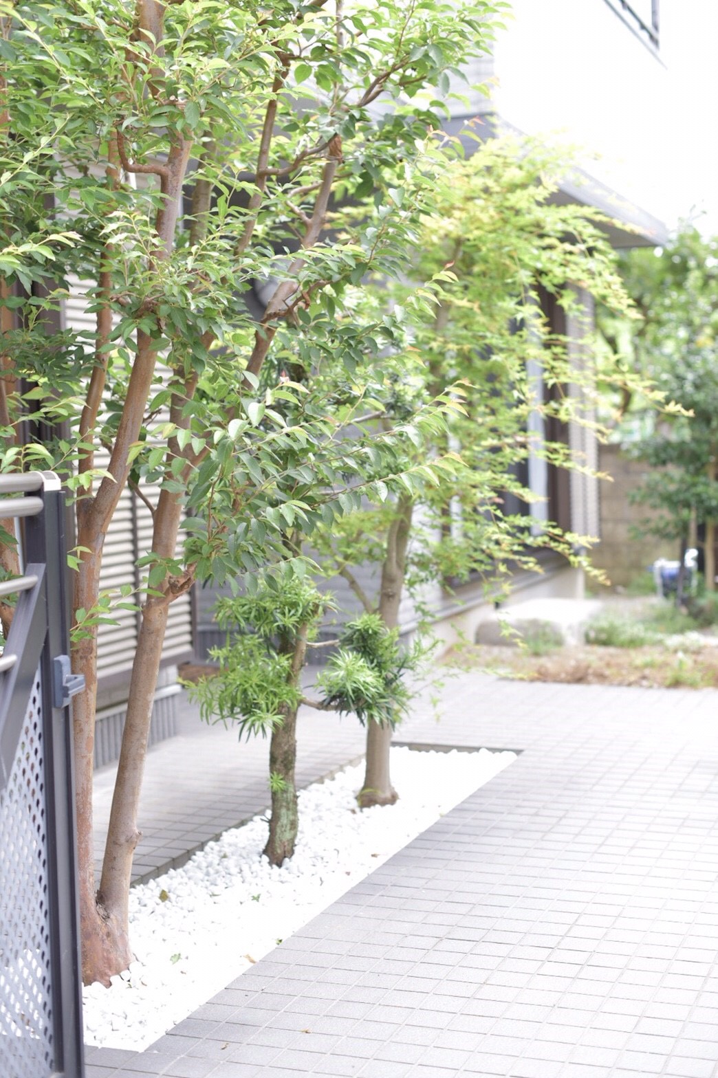 伊豆の国市 癒し空間 美容室けんも - ｜美容院・美容室・エステ