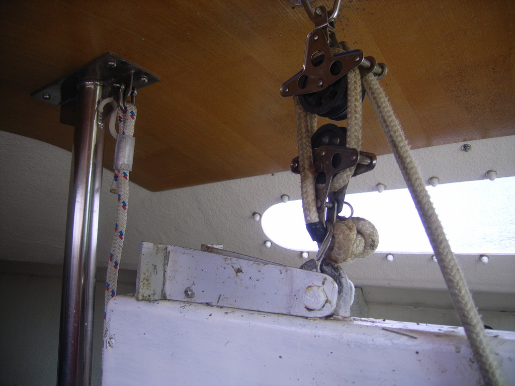 Pale de safran - Le site du Kelt 550